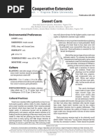 Corn Farming Guide for Farmers | PDF | Fertilizer | Maize
