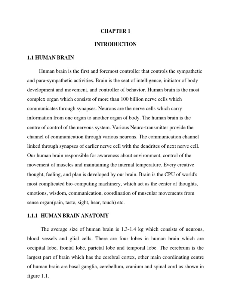 Brain Tumor Report | PDF | Human Brain | Brain Tumor