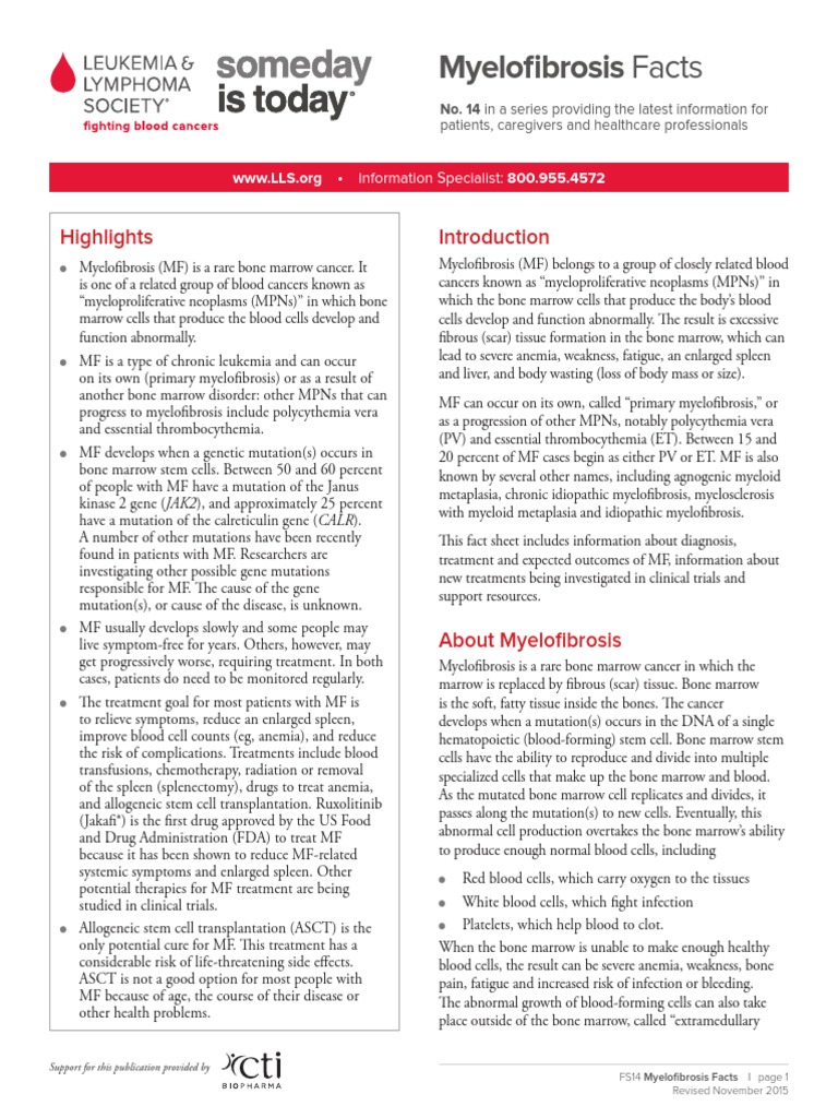 FS14 - Myelofibrosis Fact Sheet | PDF | Hematopoietic Stem Cell ...