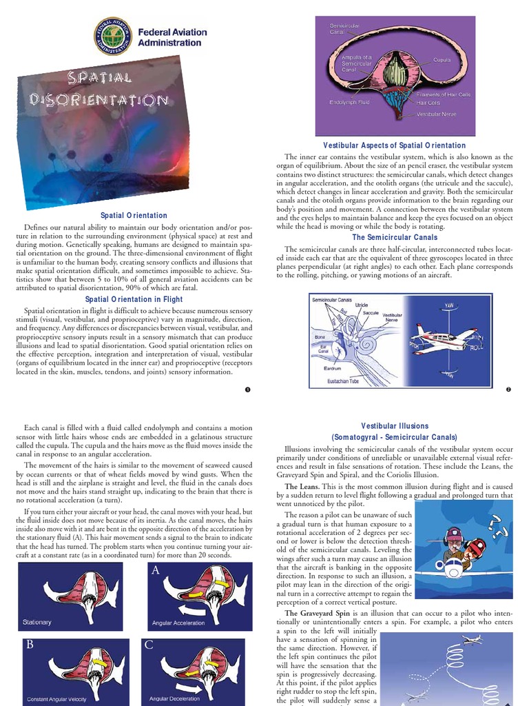 FAA Disorientation | PDF | Business
