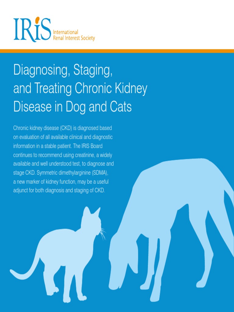 Diagnosing, Staging, and Treating Chronic Kidney Disease in Dog and ...