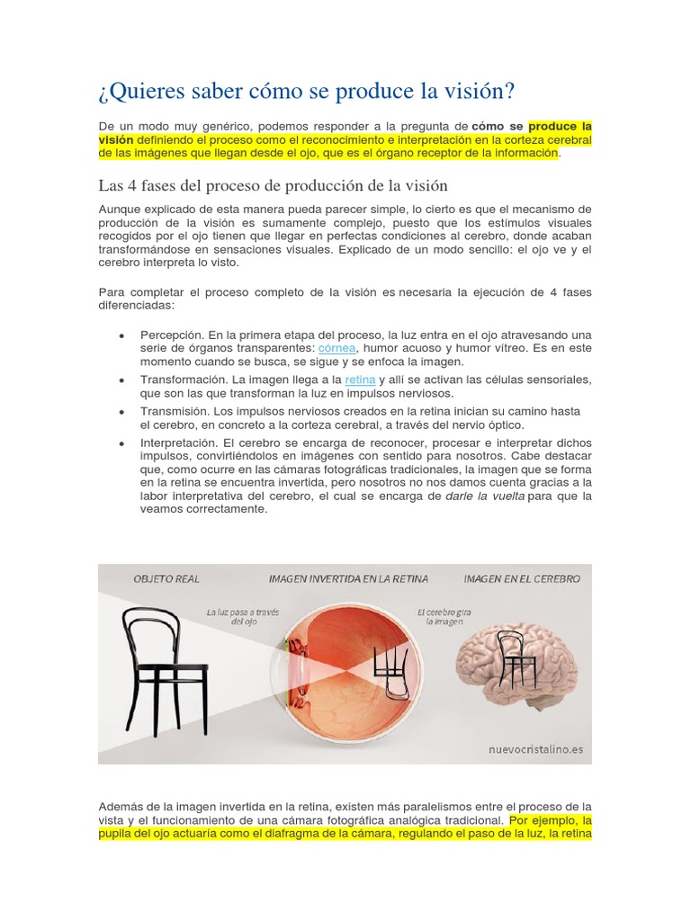 Preceso Visual | PDF | Percepción visual | Ojo humano