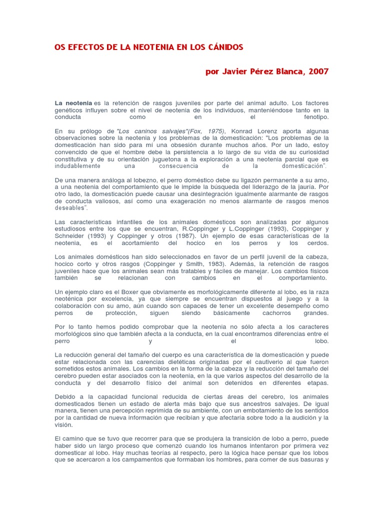 OS EFECTOS DE LA NEOTENIA EN LOS CÁNIDOS.docx | PDF | Domesticación ...