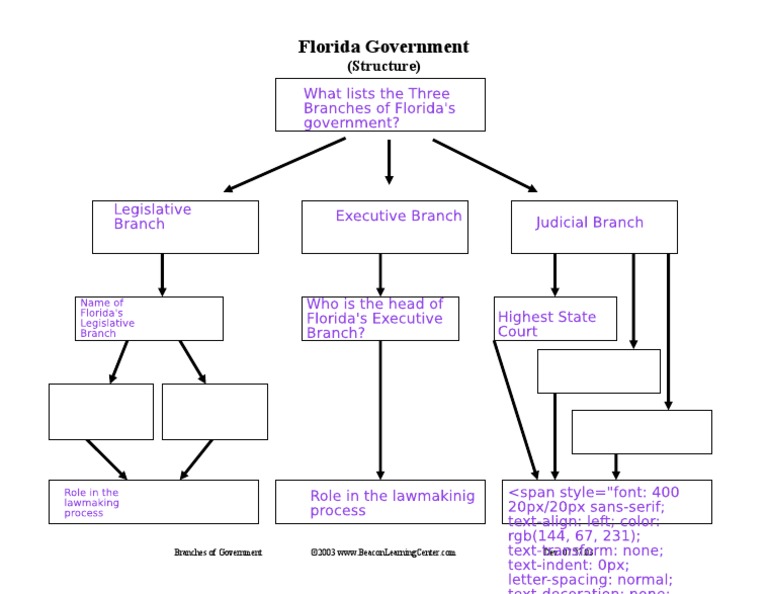 Florida Government Structure Overview | PDF