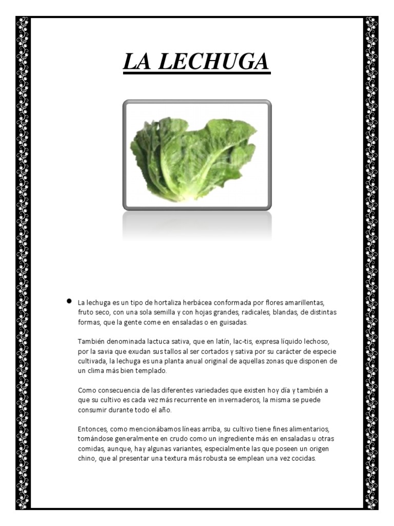 La Lechuga | PDF | Bienestar | Medicina