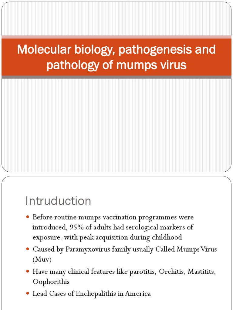 Molecular Biology, Pathogenesis and Pathology of Mumps | PDF | Medical ...