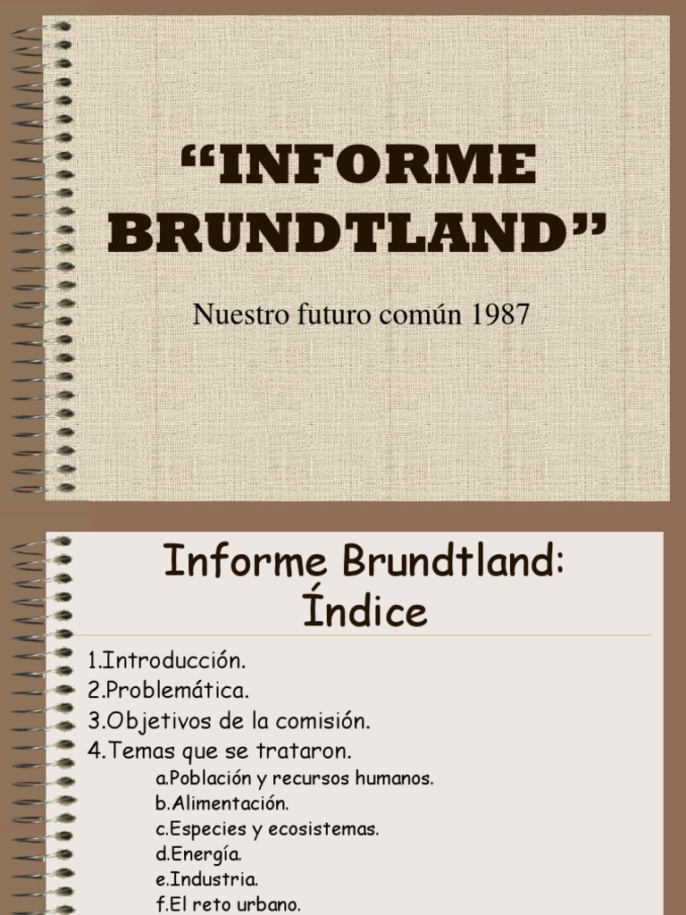 Informe Brundtland - Ds | PDF | Desarrollo sostenible | Economias
