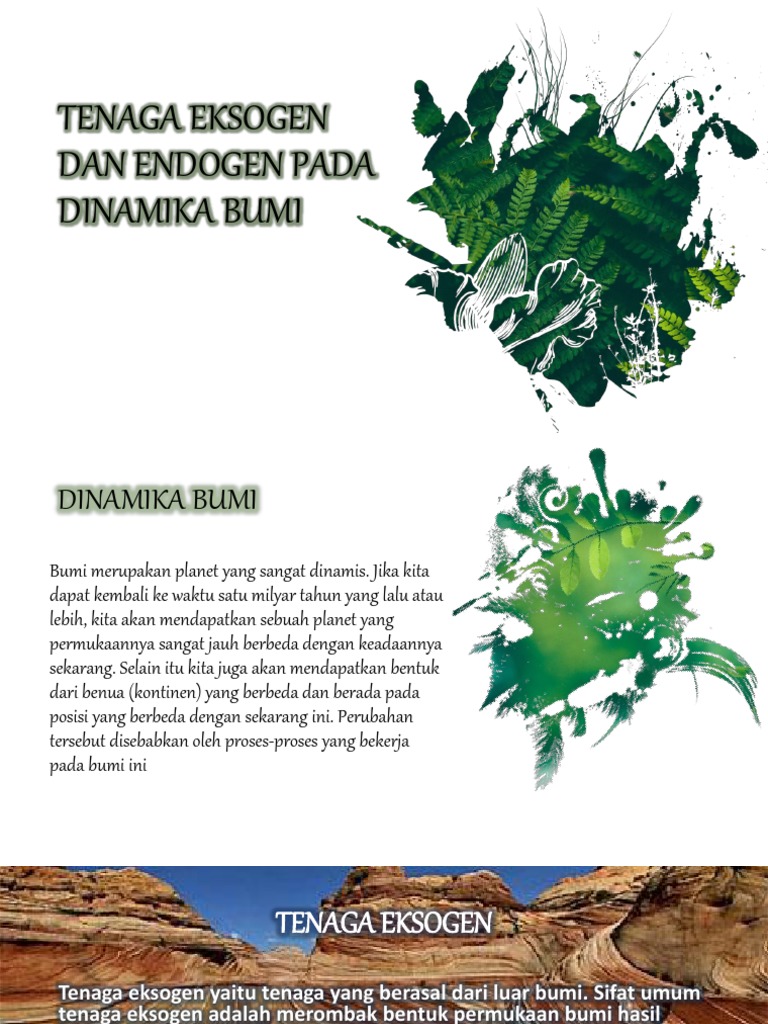 Tenaga Eksogen Dan Endogen Pada Dinamika Bumi | PDF