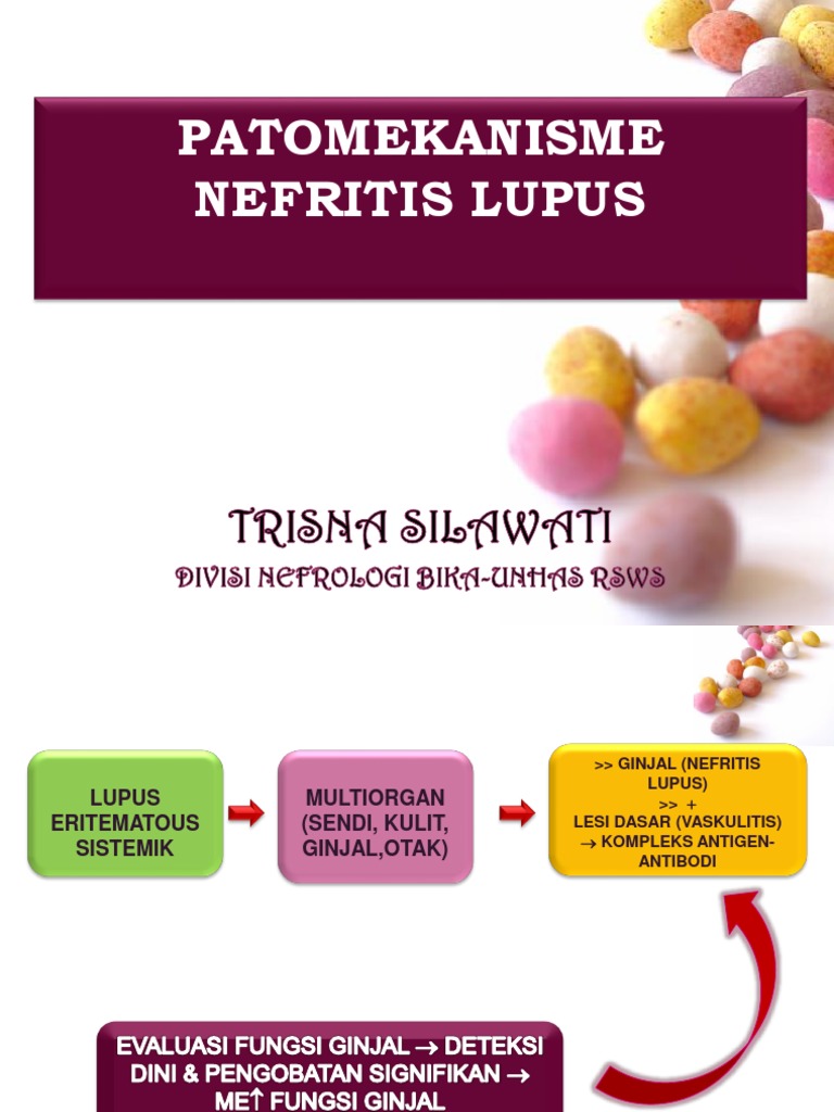 Patomekanisme Nefritis Lupus | PDF