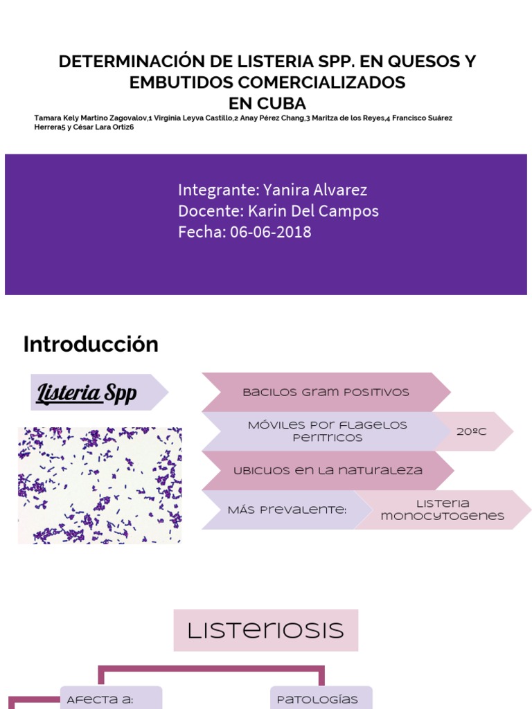 Determinación de Listeria Spp. en Quesos Y Embutidos Comercializados en ...
