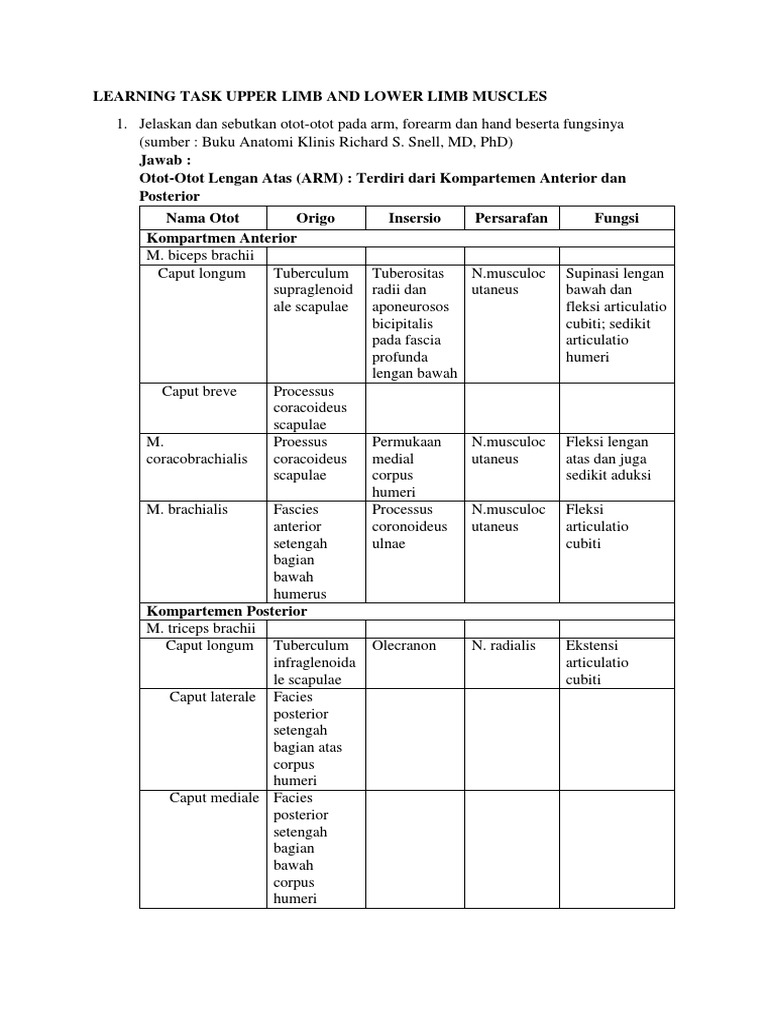 Learning Task Upper Limb and Lower Limb Muscles | PDF