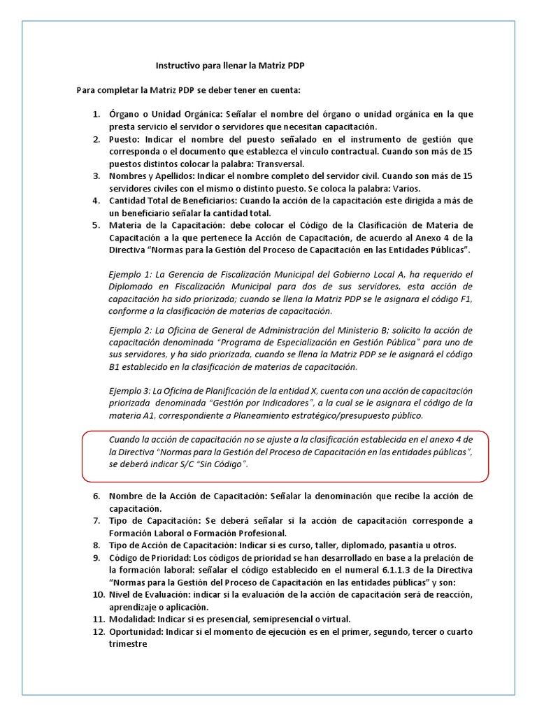 Instructivo para La Matriz PDP | PDF | Planificación | Business