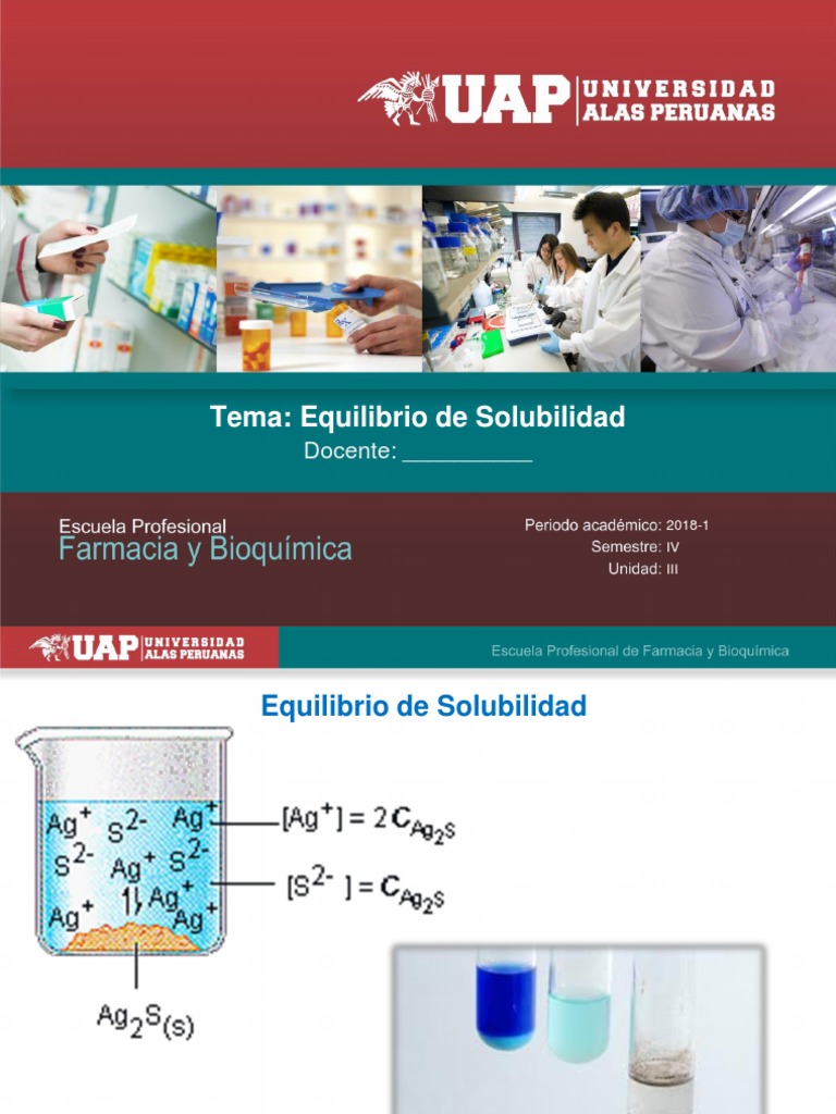 Equilibrio de Solubilidad | PDF | Solubilidad | Equilibrio químico