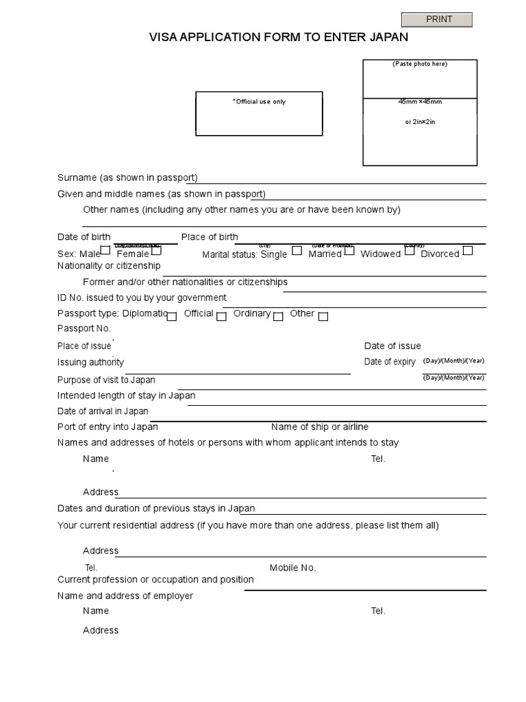 Visa Application Form To Enter Japan: Single | PDF | Travel Visa ...