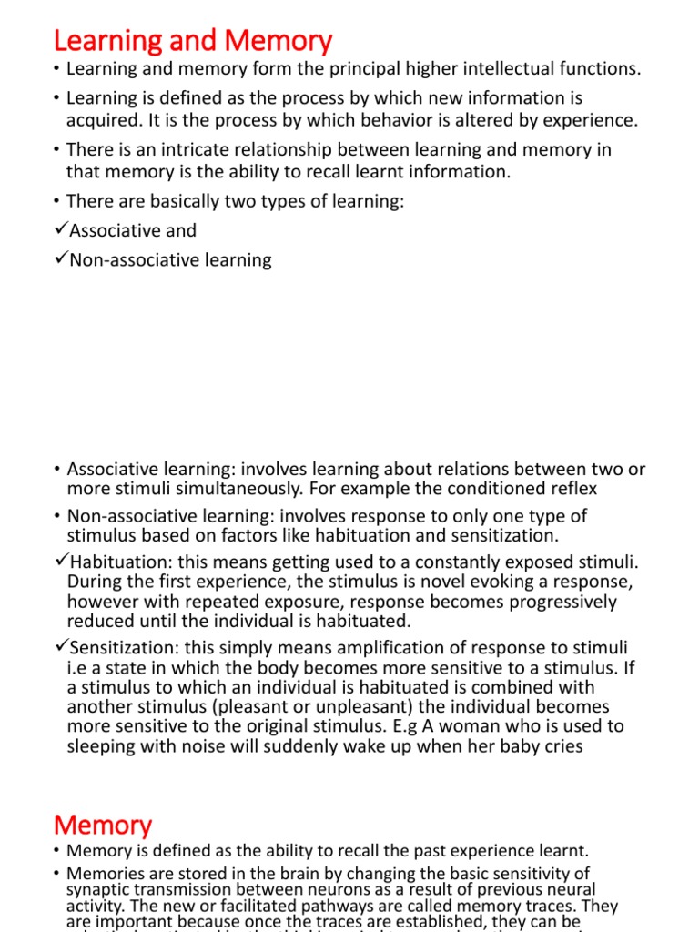 Learning and Memory | PDF | Chemical Synapse | Memory