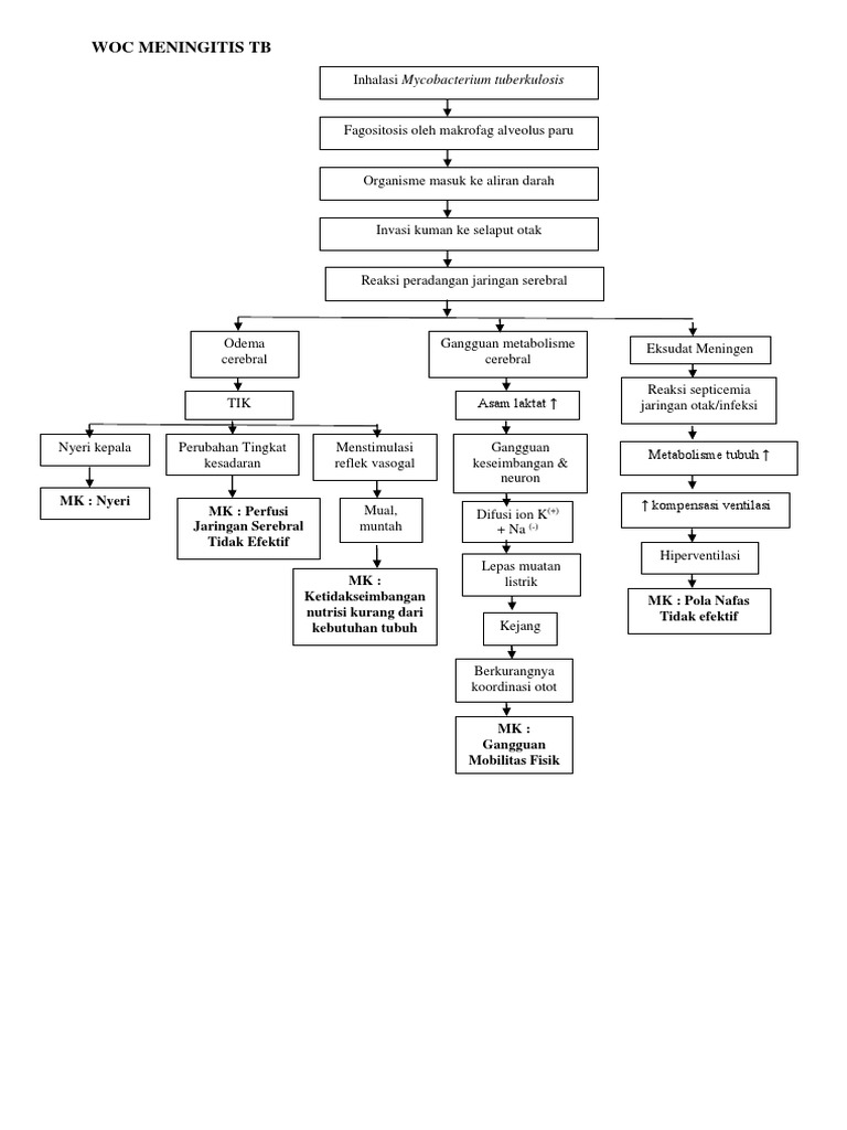 Woc Meningitis TB | PDF