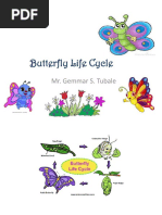 Caterpillar Life Cycle Stages Explained | PDF