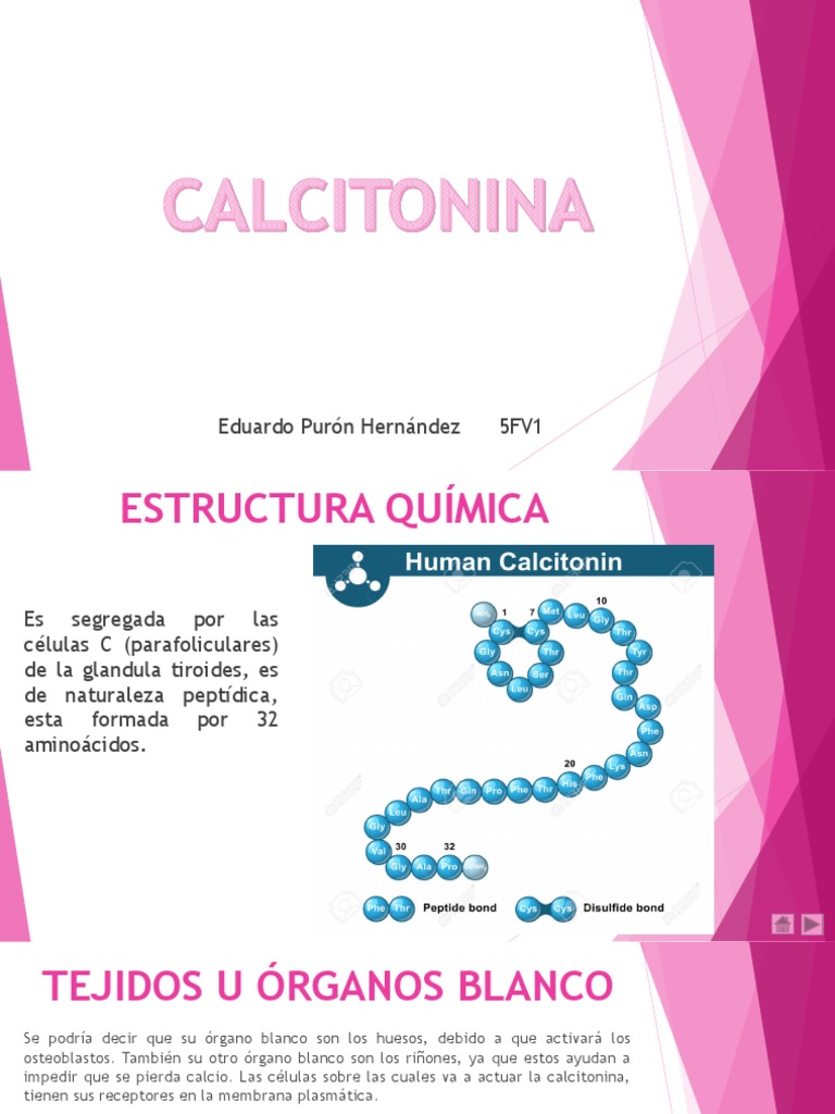 Calcitonina | Calcio | Hueso