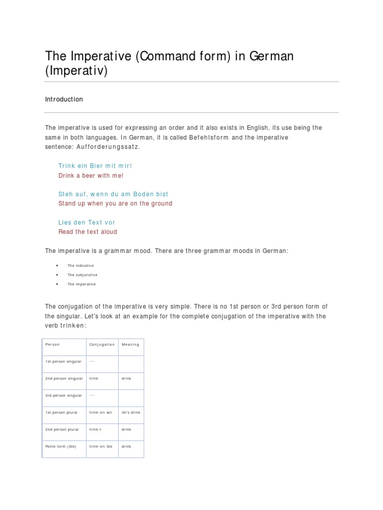The Imperative (Command Form) in German (Imperativ) : Trink Ein Bier ...