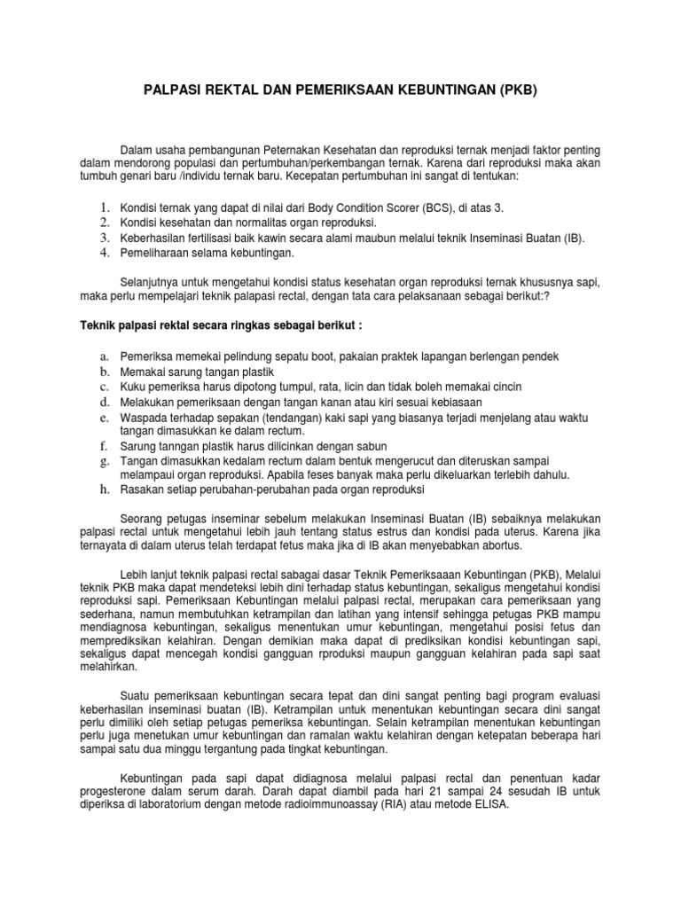 Teknik Palpasi Rektal Sapi | PDF