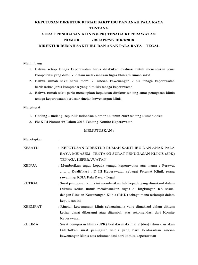 SKK Dan RKK Perawat | PDF