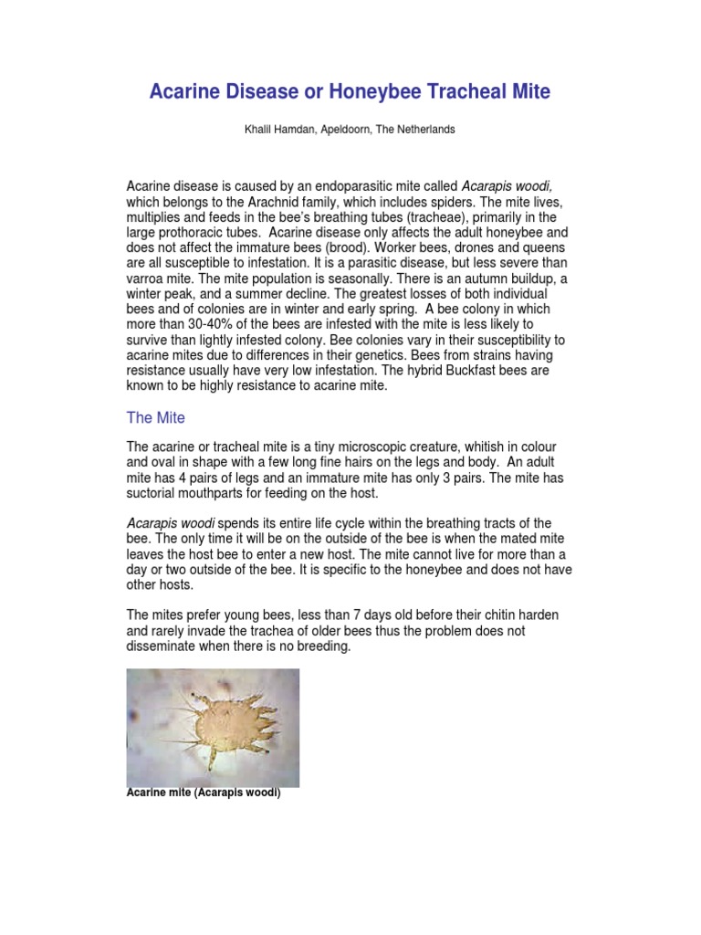 Tracheal Mites (Acarapis woodi): An In-Depth Examination of the ...