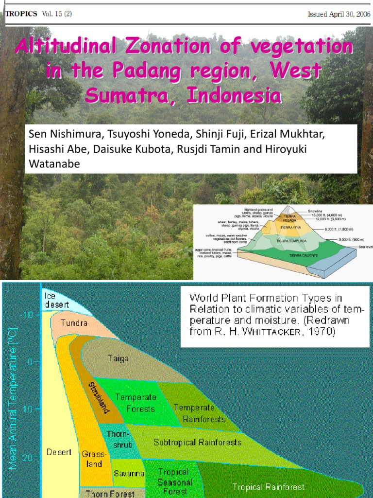 Altitudinal Vegetation Zonation in Padang | PDF