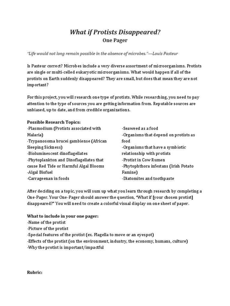 What If Protist One Pager | PDF | Microorganism | Biology