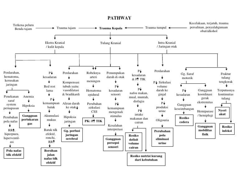 pATHWAY CEDERA KEPALA | PDF
