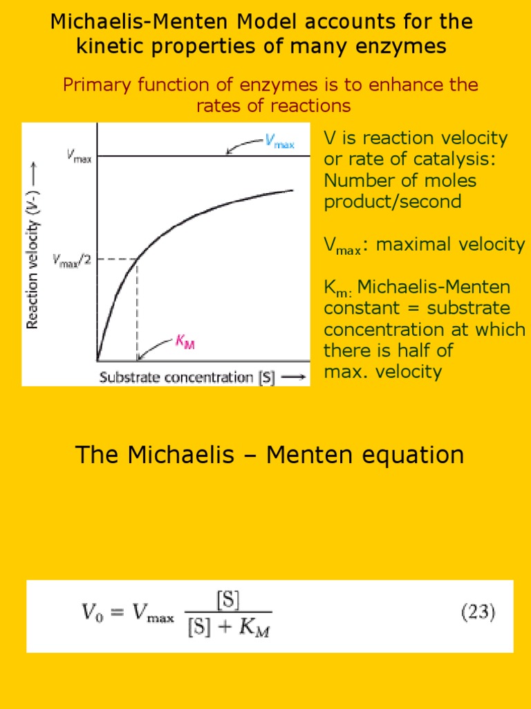 Michaelis-Menten Kinetics Explained | PDF | Enzyme Kinetics | Biomolecules