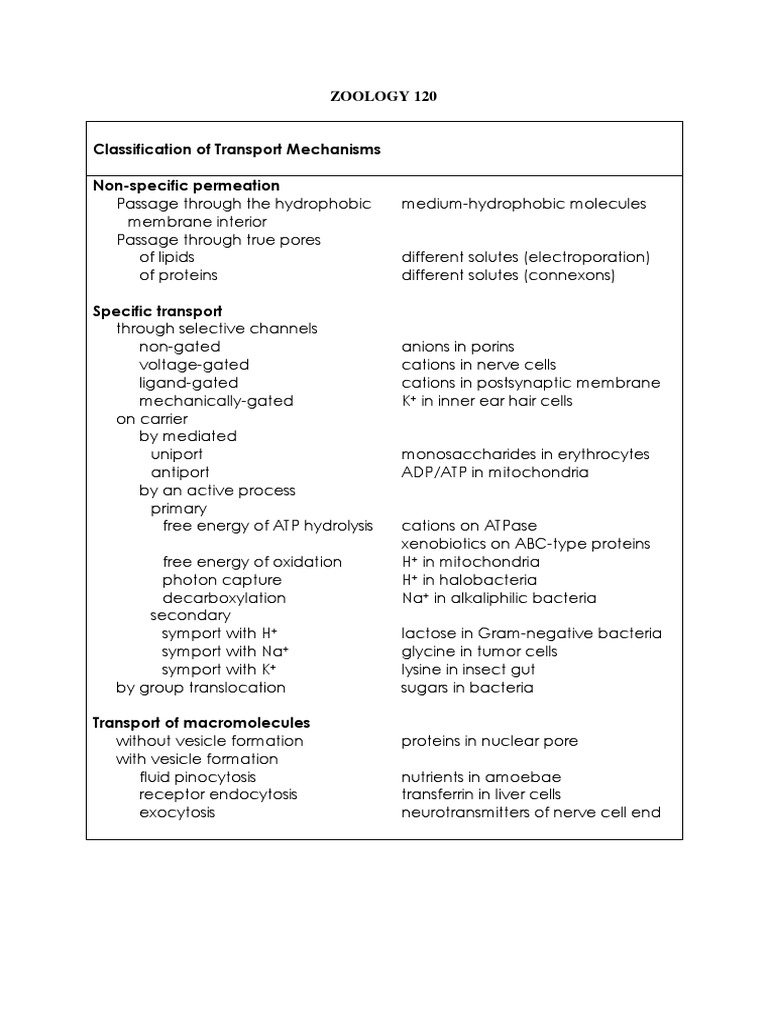 Transport Mech | Download Free PDF | Cell Membrane | Amino Acid