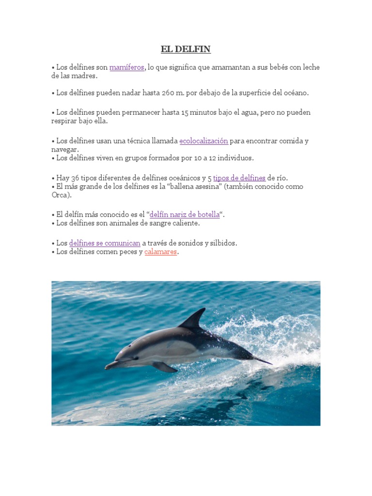 El Delfin | PDF
