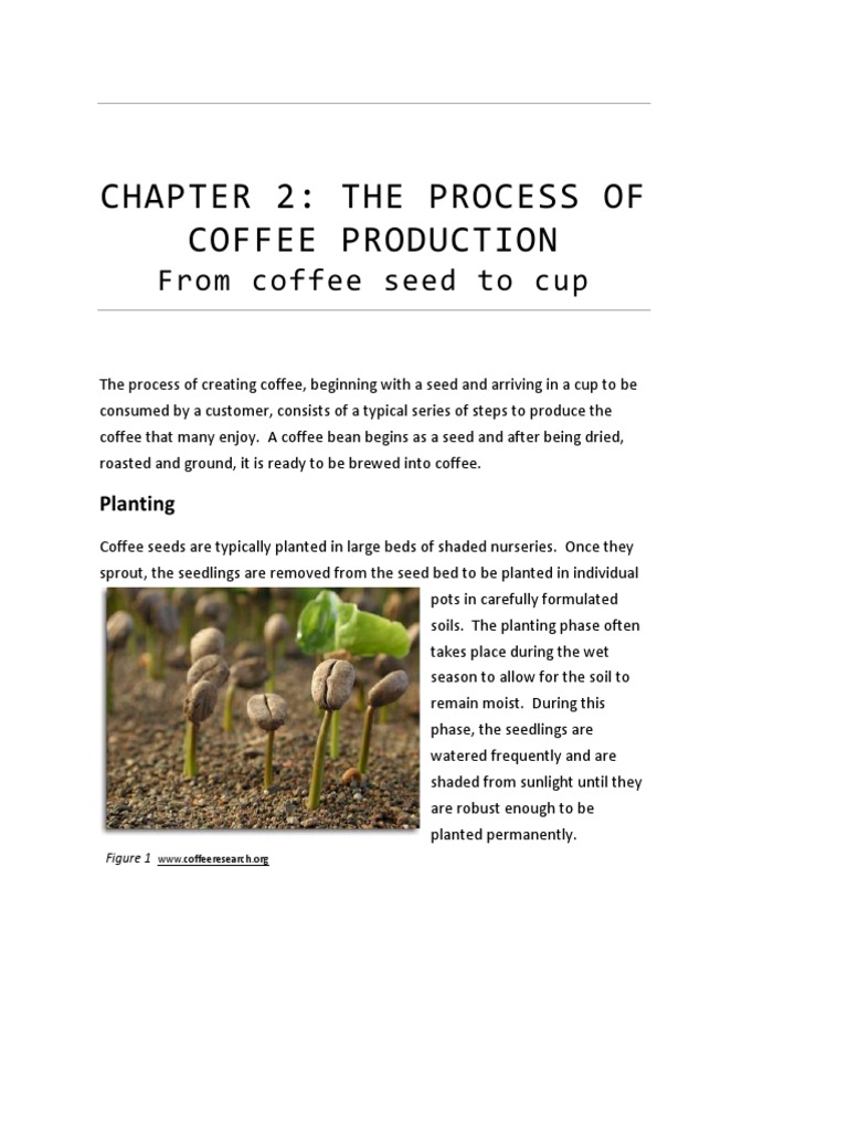 Production Process of Nestle | PDF | Coffee | Fermentation