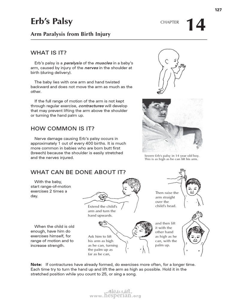 Exit Project Workbook Complete Draft 2 | Download Free PDF | Arm ...