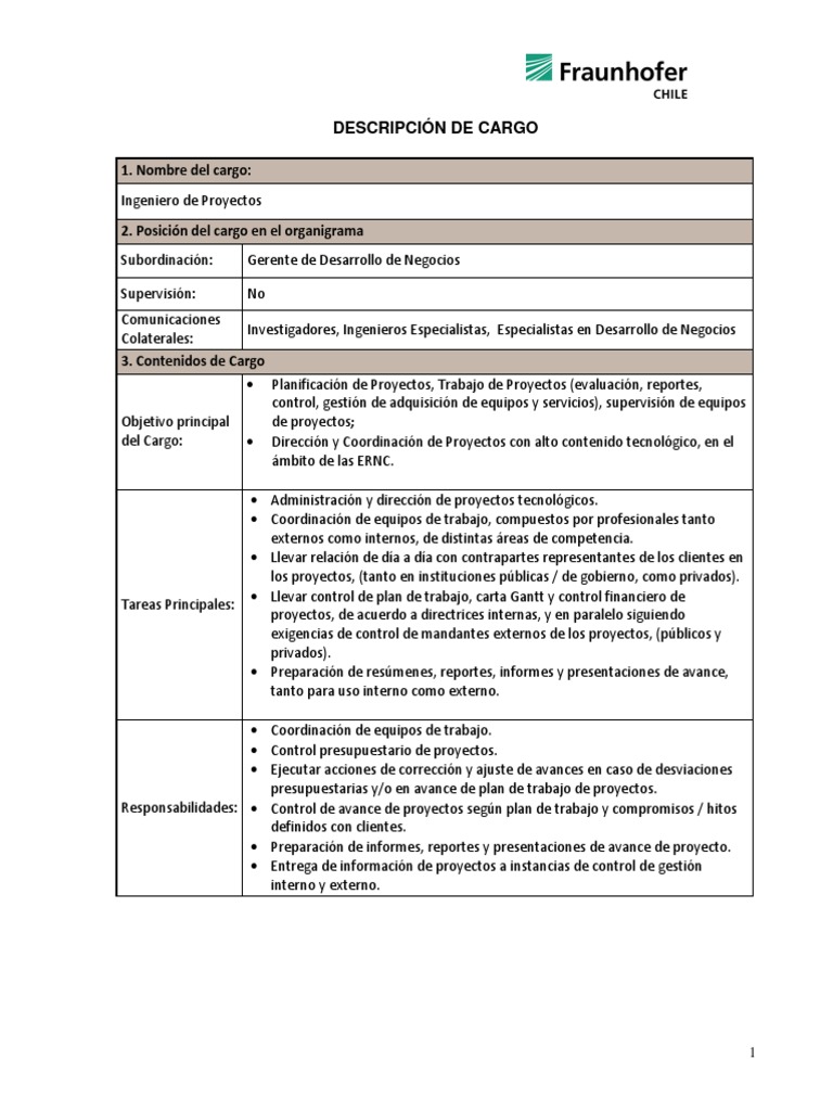 Ejemplo Descripcion de Cargos | PDF | Gestión de proyectos | Ingeniería