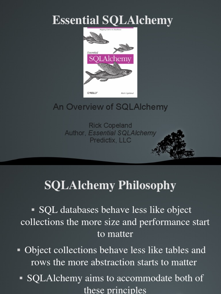 Essential SQL Alchemy | PDF | Object Relational Mapping | Relational Model