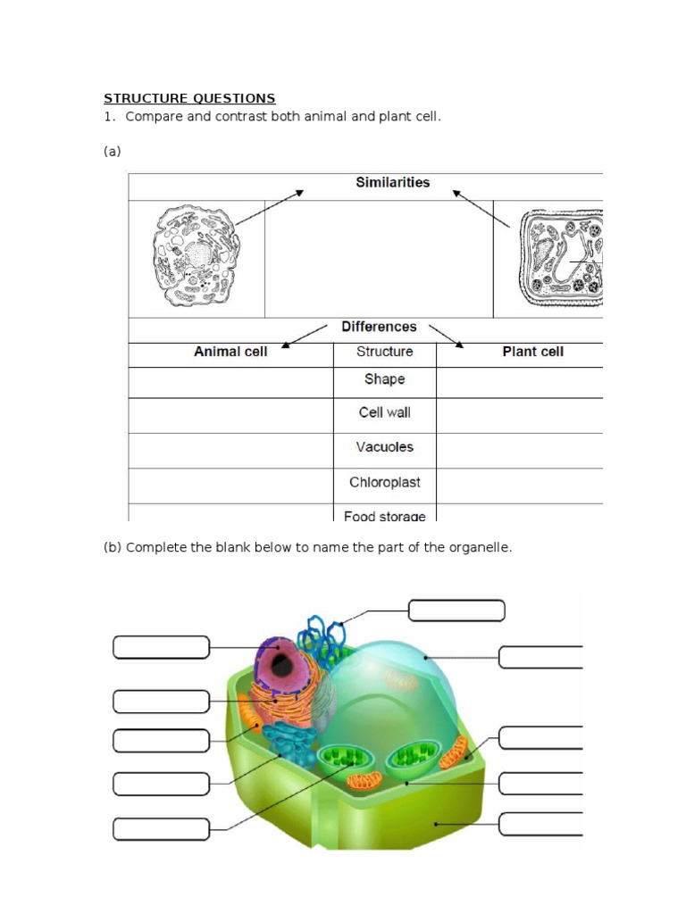 Compare and Contrast Both Animal and Plant Cell. (A) : Structure ...