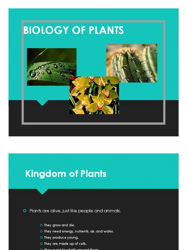 Cluster Biology of Plants | PDF | Tissue (Biology) | Leaf