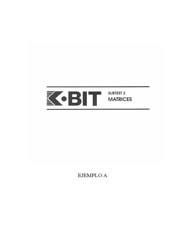 K BIT Matrices | PDF