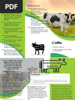 Cow Anatomy and Physiology Overview | PDF