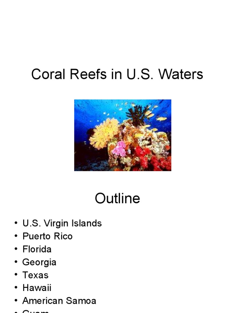 Coral Reefs in US | PDF | Coral Reef | Oceanography