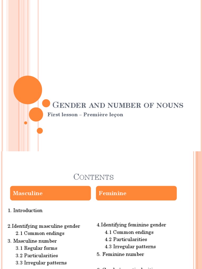 Basic French Grammer | PDF | Grammatical Gender | Grammatical Number