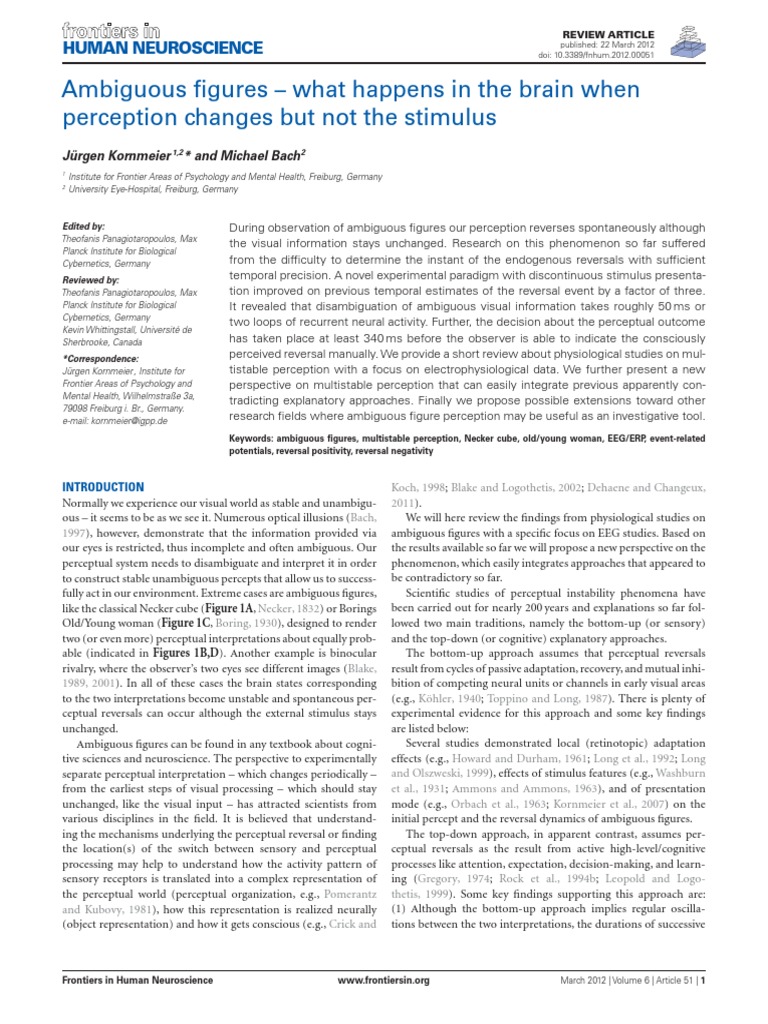 Ambiguous Figures - What Happens in The Brain When Perception Changes ...