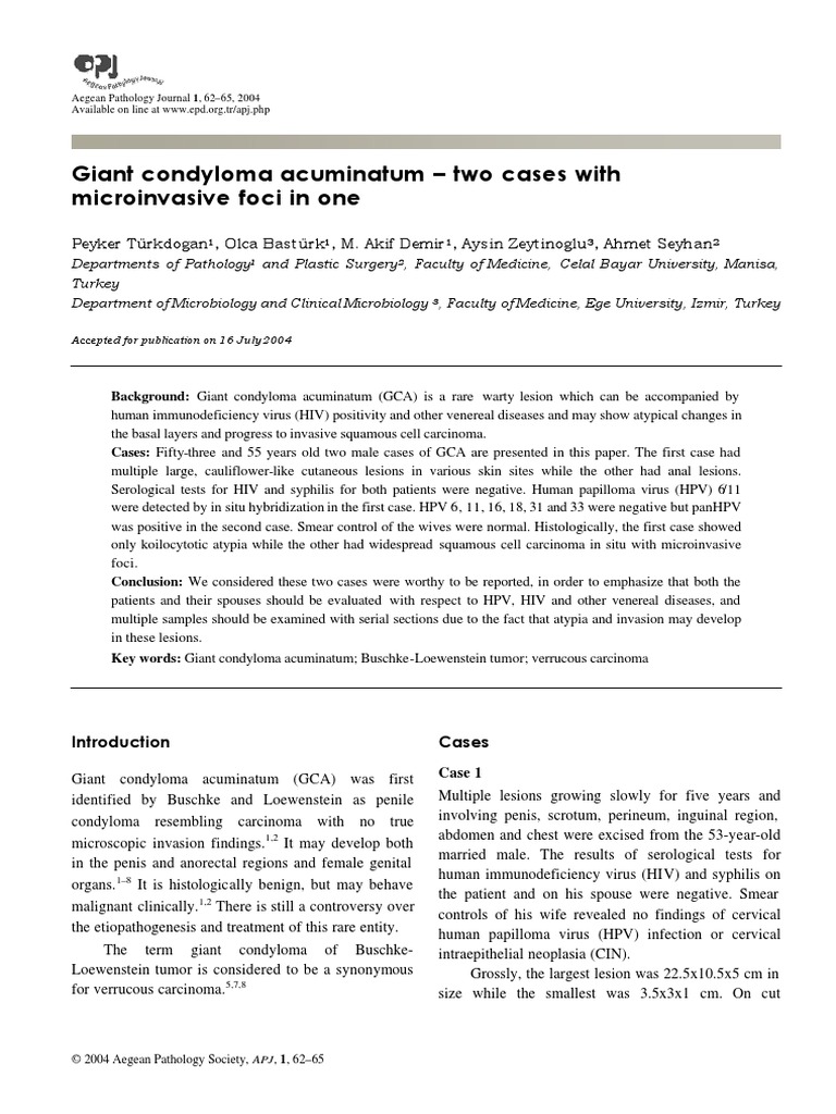 Giant Condyloma Acuminatum - Two Cases With Microinvasive Foci in One ...