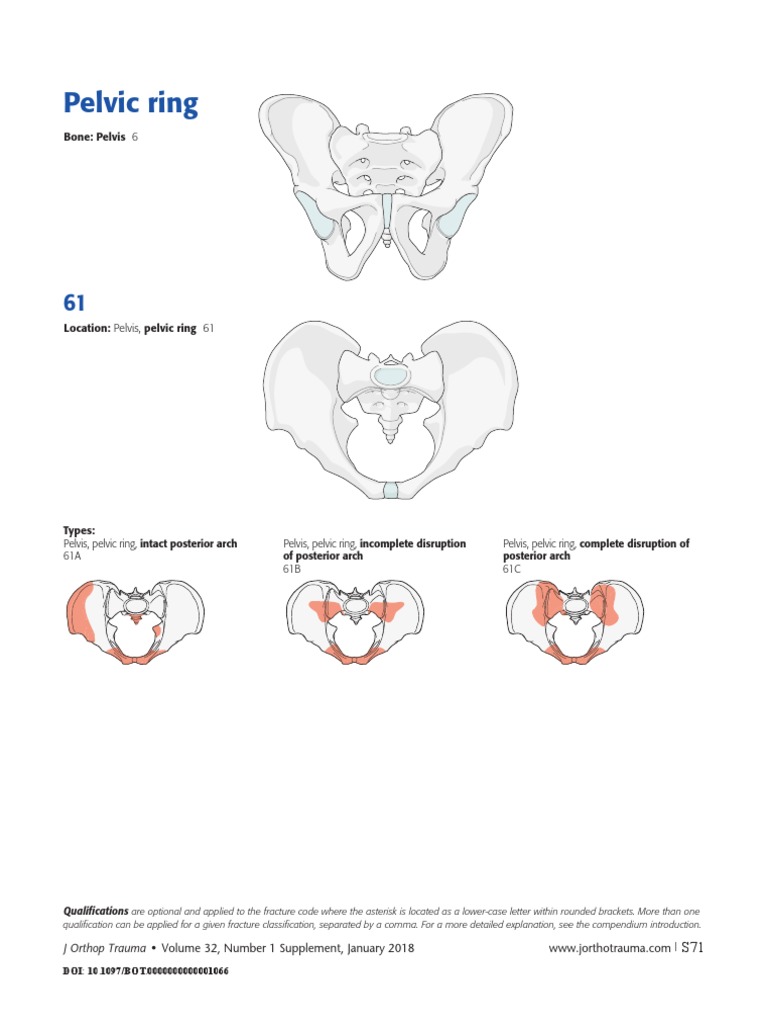 AO-OTA Pelvis Fracture Classification | PDF | Pelvis | Anatomy