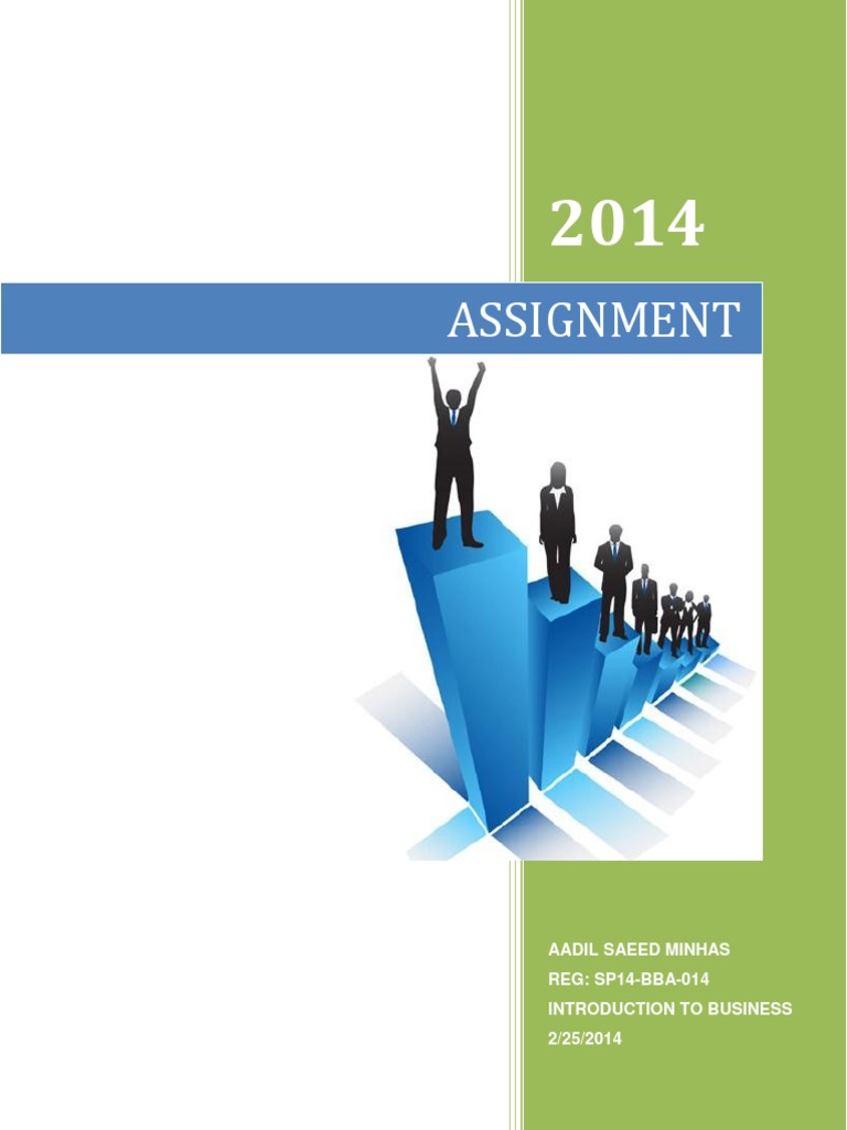 Introduction to Business Assignment | PDF