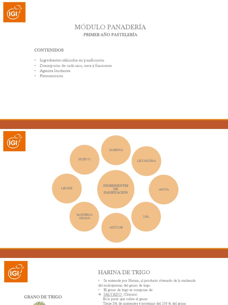 Power Tipos de Harina - Módulo Panadería | PDF | Panes | Levadura