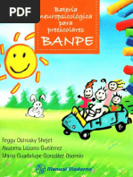 Baneta Manual | PDF