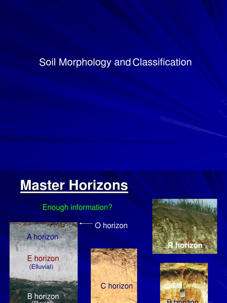 Lecture 23 Soil Taxonomy | PDF | Decomposition | Soil