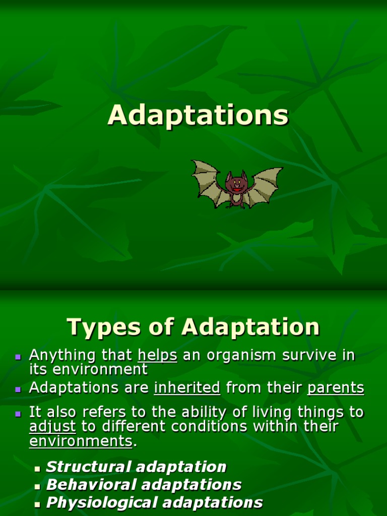 evolutionary adaptations ppt | Adaptation | Genetics